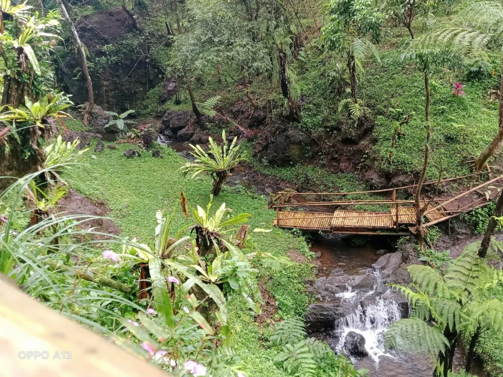 Places to Go in Bandung: 48-Hour Itinerary in Lembang