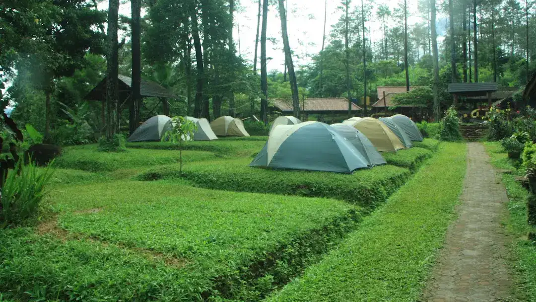 5 Rekomendasi Tempat Family Gathering di Pacet dan Berbagai Kegiatan ...