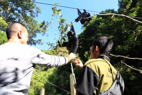 7 Things to Do in Parapat, A Hidden Paradise By Toba Lake