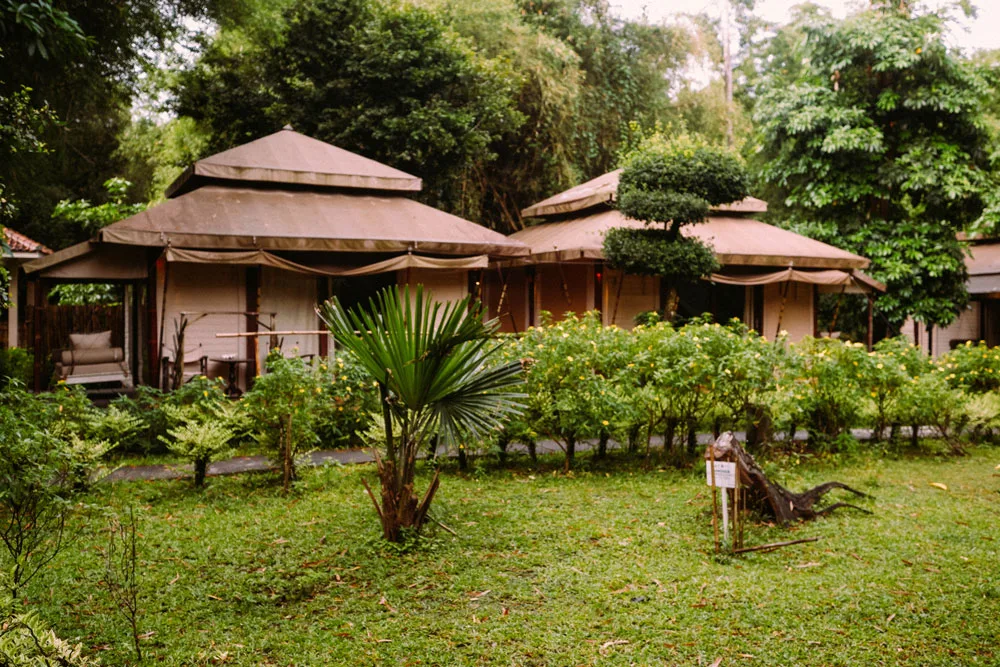 9 Tempat Glamping Banyuwangi dengan View Ciamik
