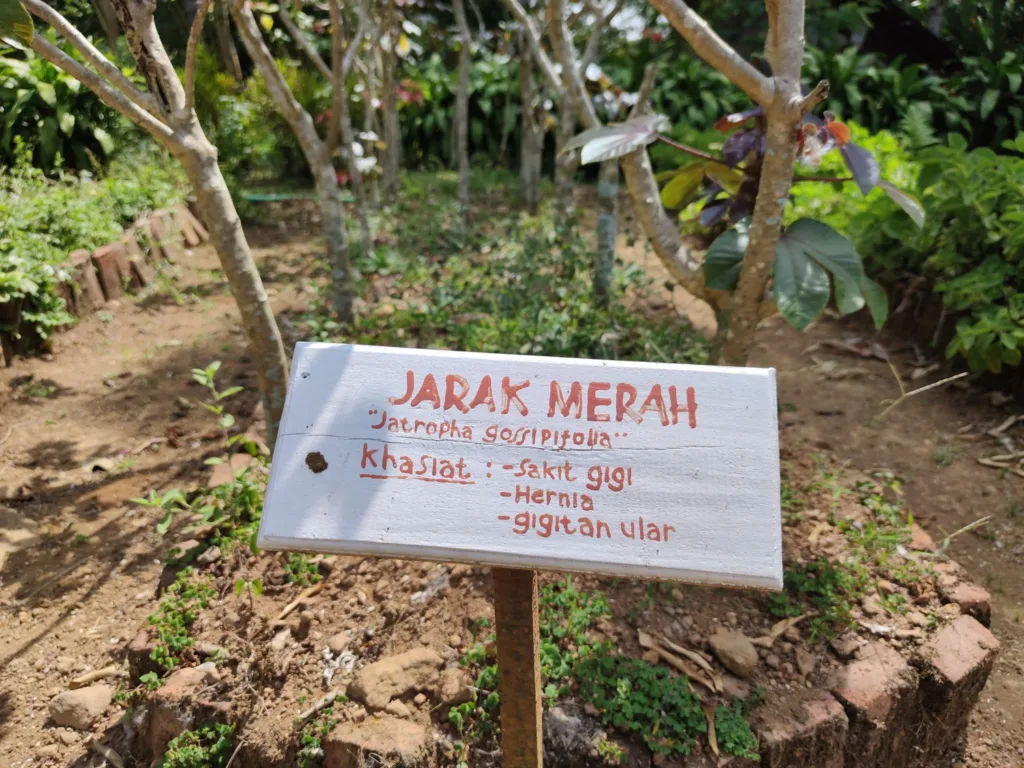 7 Wisata Gratis Mojokerto yang Ramah di Kantong