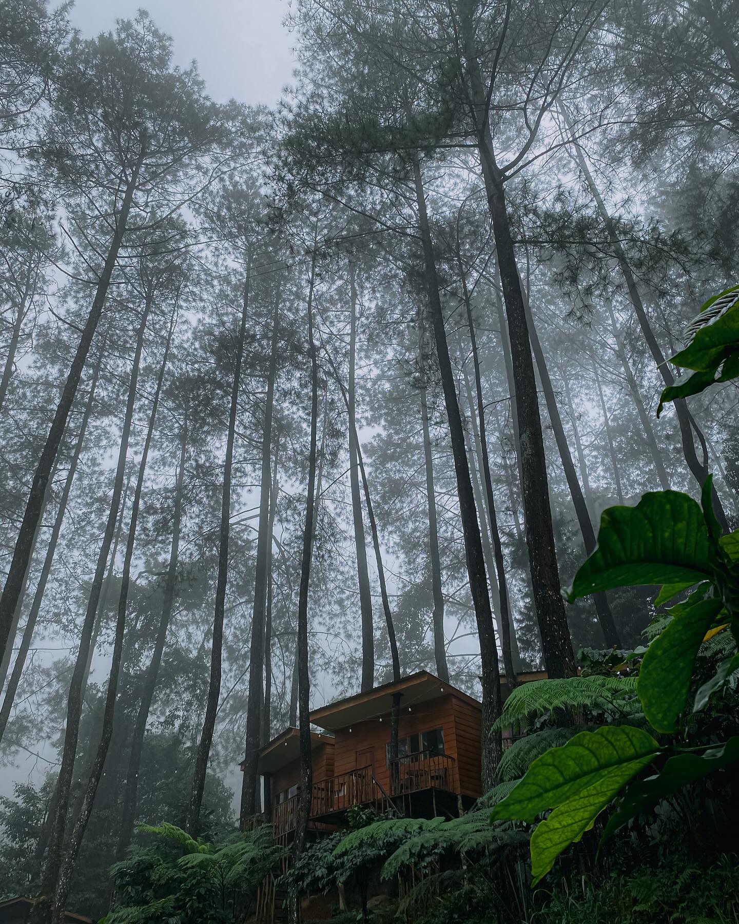 19 Rekomendasi Camping dan Glamping di Puncak