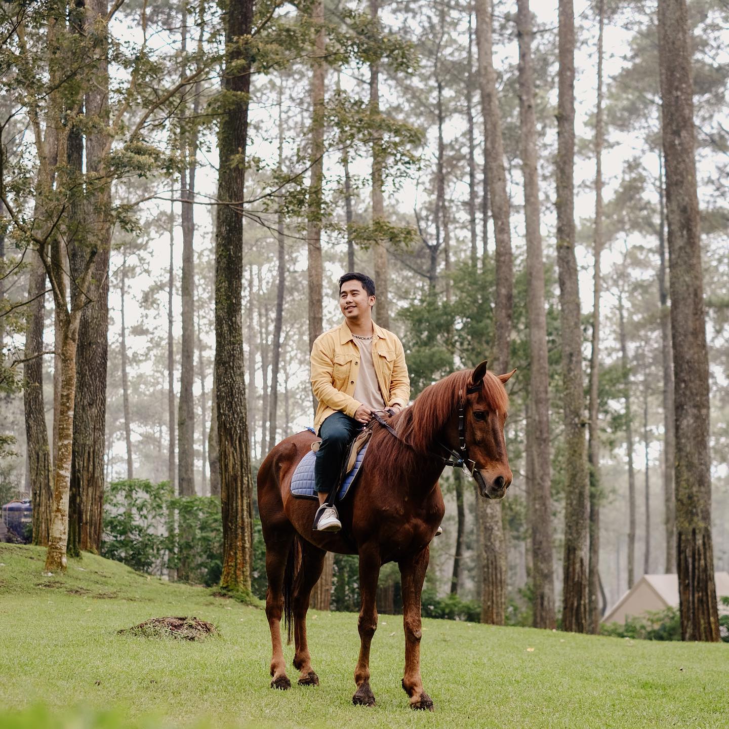 Explore Cikole in 24 Hours: A Must-Try Adventure!