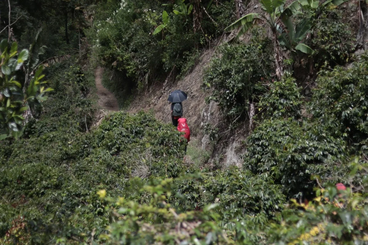 Gunung Ranti, Tempat Bermukim Suku Osing Banyuwangi