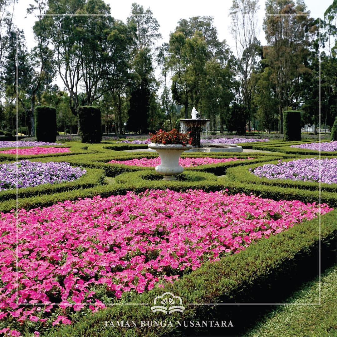 Wisata Taman Bunga Nusantara: Surganya Bunga di Cianjur