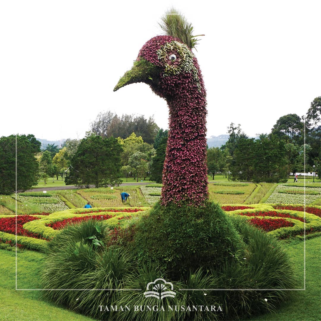 Wisata Taman Bunga Nusantara: Surganya Bunga di Cianjur