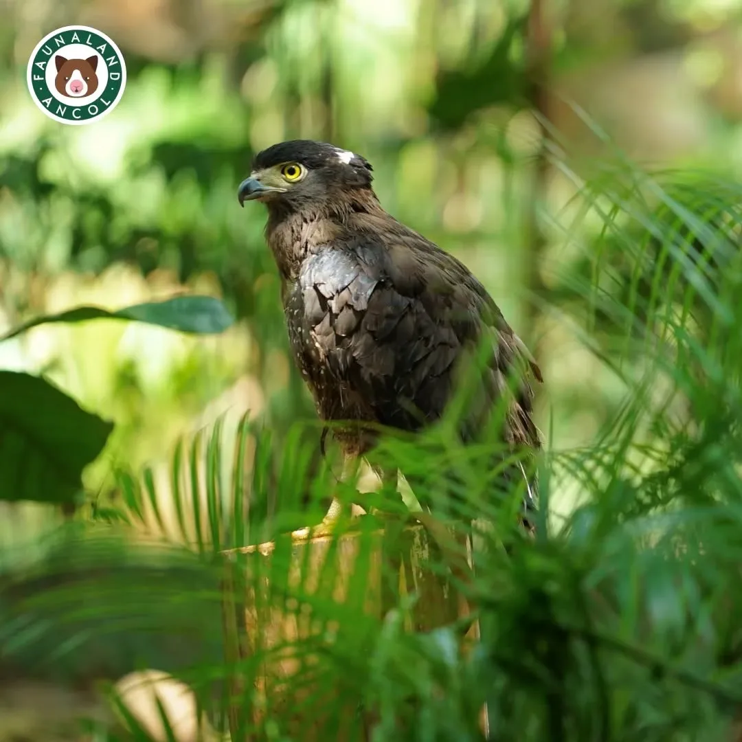 10 Tempat Liburan di Ancol: Dari Pantai sampai Taman Hiburan!