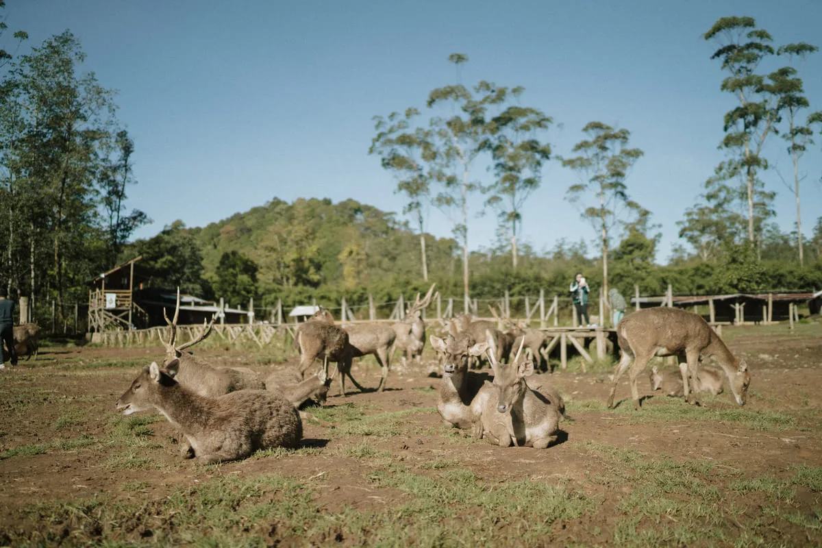 24 Hours in Ranca Upas: 7 Best Things to See and Do