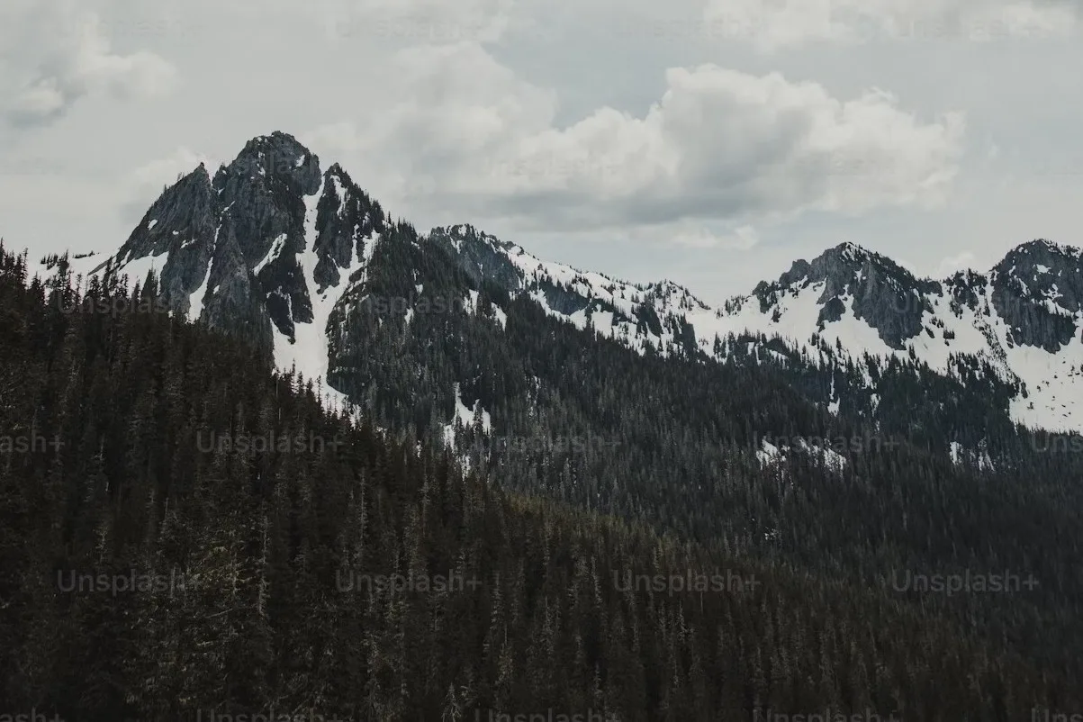 Dari Carstensz hingga Bukit Raya: Ini Daftar Seven Summit Indonesia!