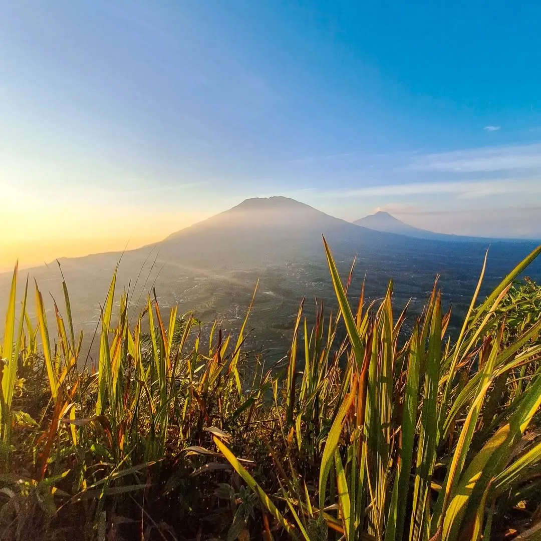 Pesona Gunung Andong, Mendaki Cuma 2 Jam!