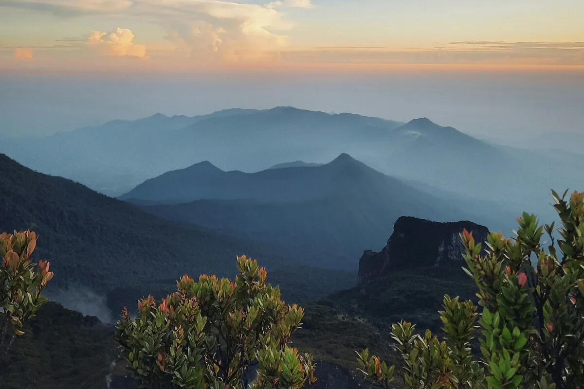 Mau Healing Tanpa Cuti? Cobain Mendaki Gunung Kencana!
