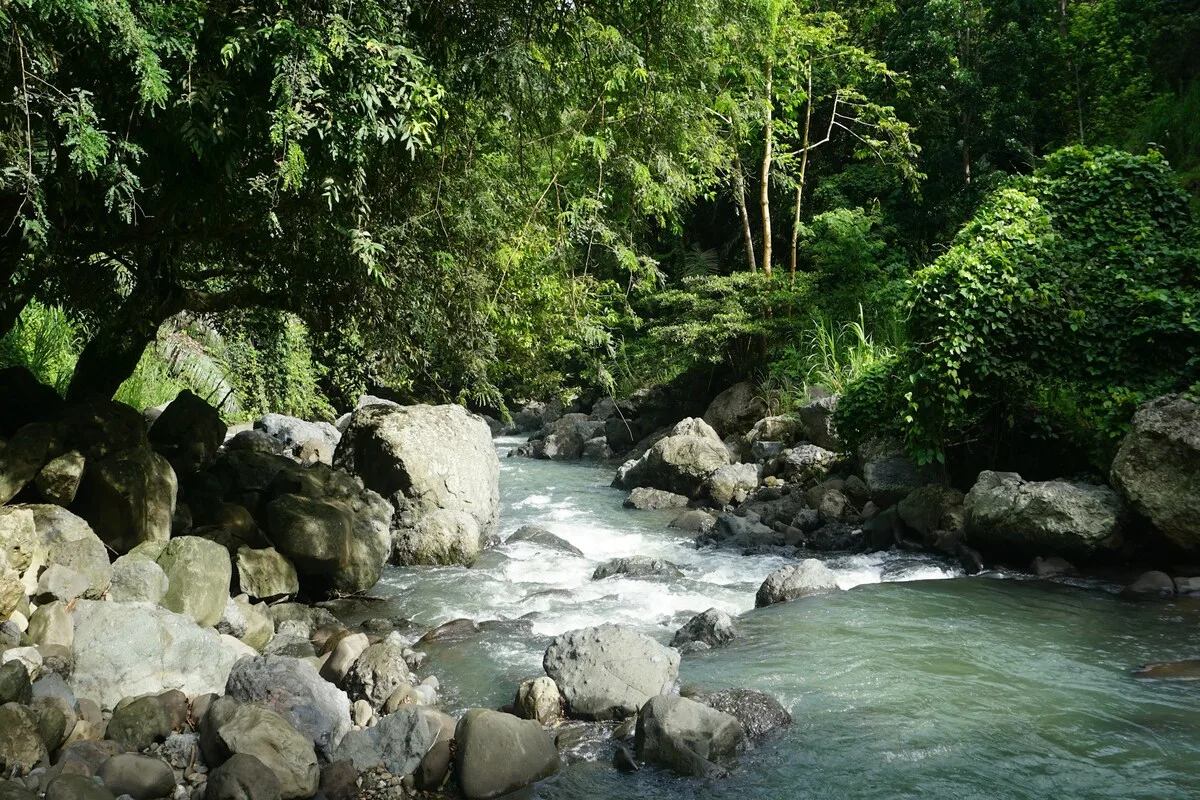 Mengintip Keindahan Tersembunyi Air Terjun Kedung Kayang
