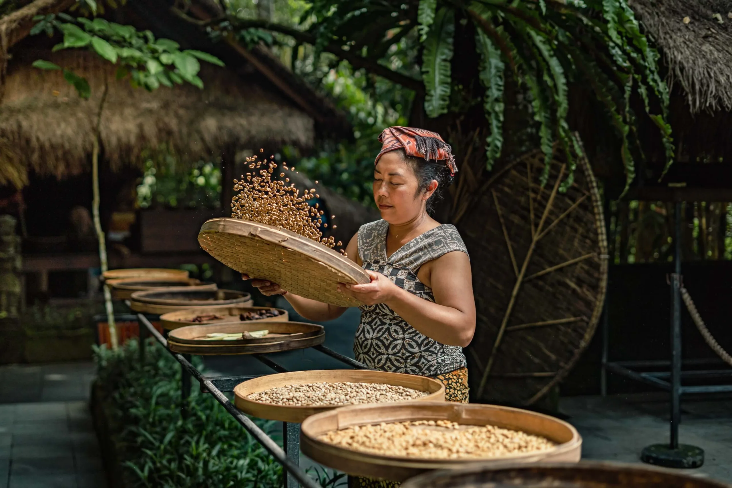 Bali Coffee Plantation Adventure: Savoring the Island’s Richest Brews