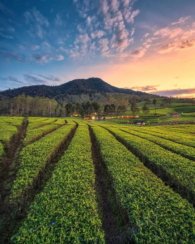 Wisata Nuansa Riung Gunung Pangalengan, Cocok buat Healing!