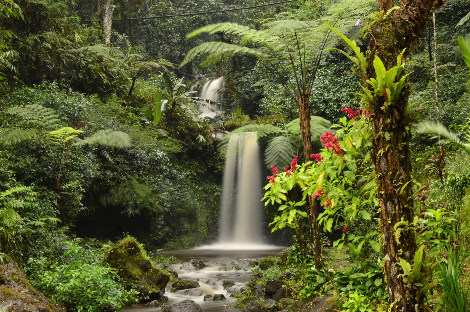 Kebun Raya Baturraden: Wisata Alam Menenangkan di Purwokerto