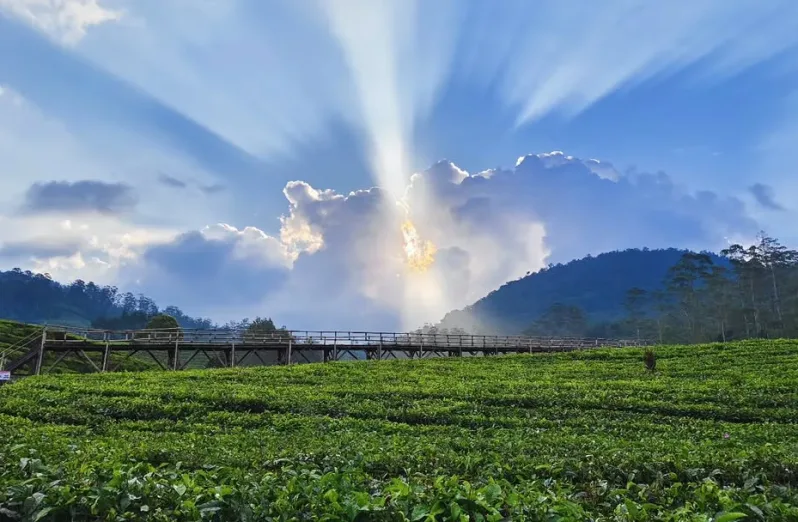 Wisata Nuansa Riung Gunung Pangalengan, Cocok buat Healing!