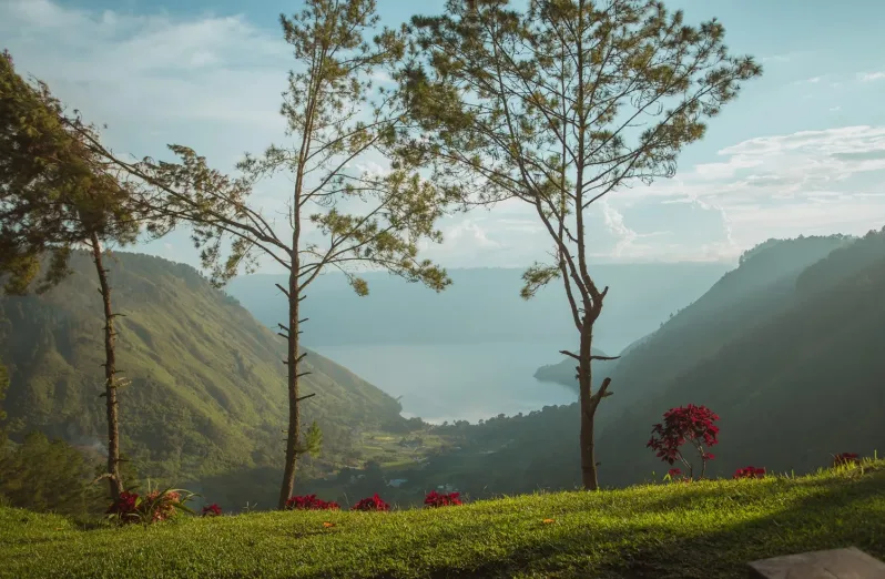 3 Things to Know Before Staying at Bobocabin Parapat