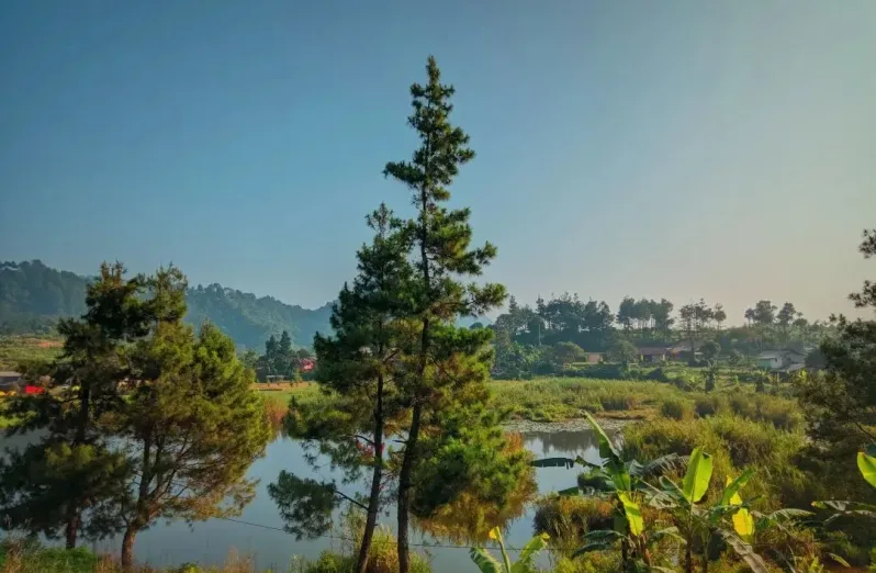 Tidak Kalah Indah, Intip 6 Destinasi Wisata Rawa-rawa di Indonesia ...