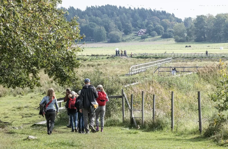 4 Contoh Rundown Acara Outing Class yang Seru & Bikin Kompak!