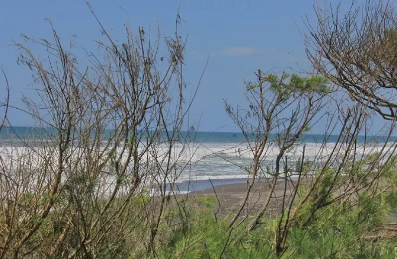 Pantai Pandansari: Daya Tarik, Harga Tiket, dan Jam Bukanya